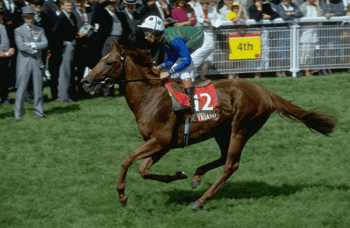 Dual Guineas Victor Rodrigo de Triano Dies - Paulick Report | Latest ...