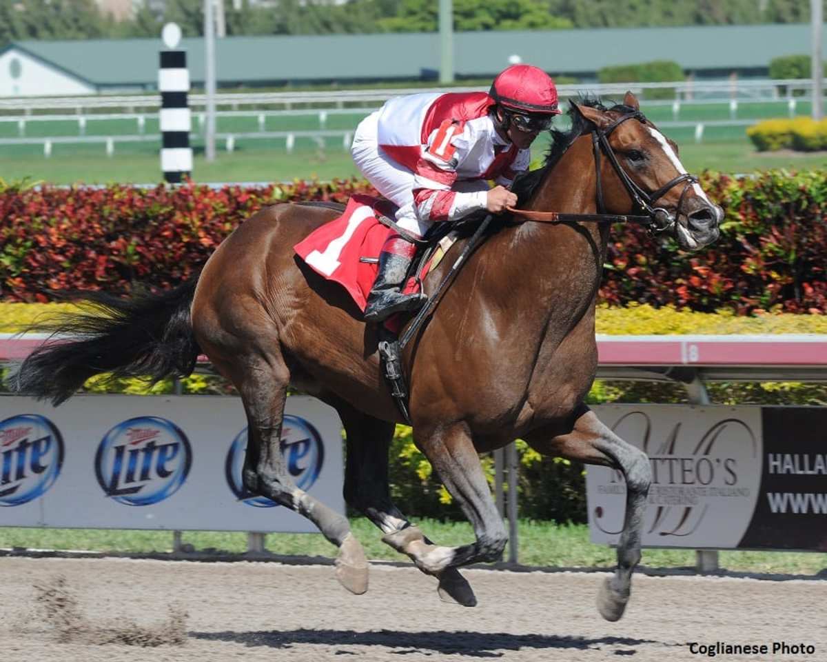 Normandy Invasion Marks Racing Return With Record-Setting Win - Paulick ...
