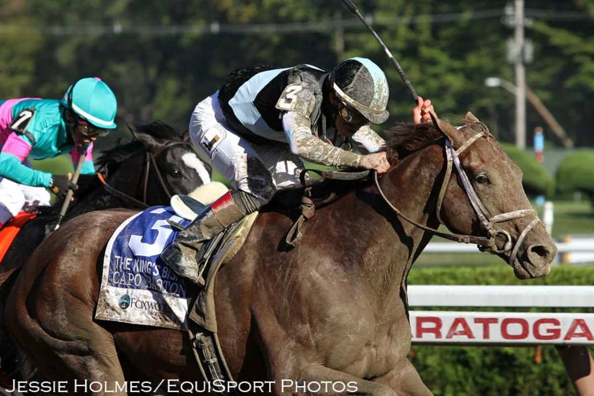 Adena Springs Reopens Florida Stallion Division; Capo Bastone Joins ...