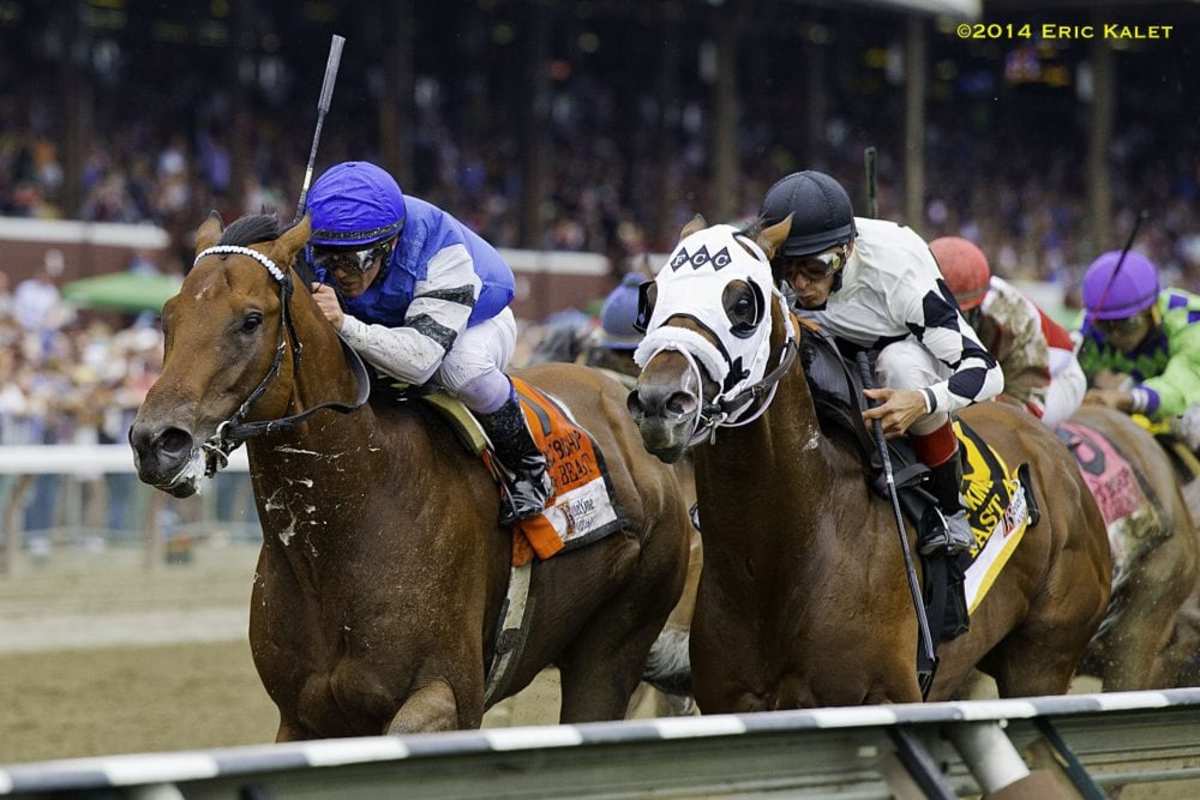 The Big Beast Sidelined With Ankle Chip - Paulick Report | Latest news ...