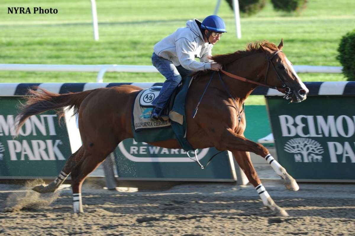 California Chrome Comes Out of Work in 'Great Shape' - Paulick Report ...