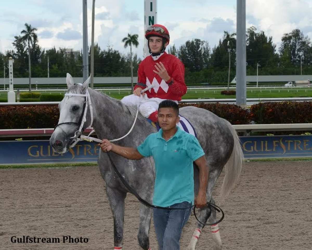 Apprentice Ritvo Wins Four on Gulfstream Card - Paulick Report | Latest ...