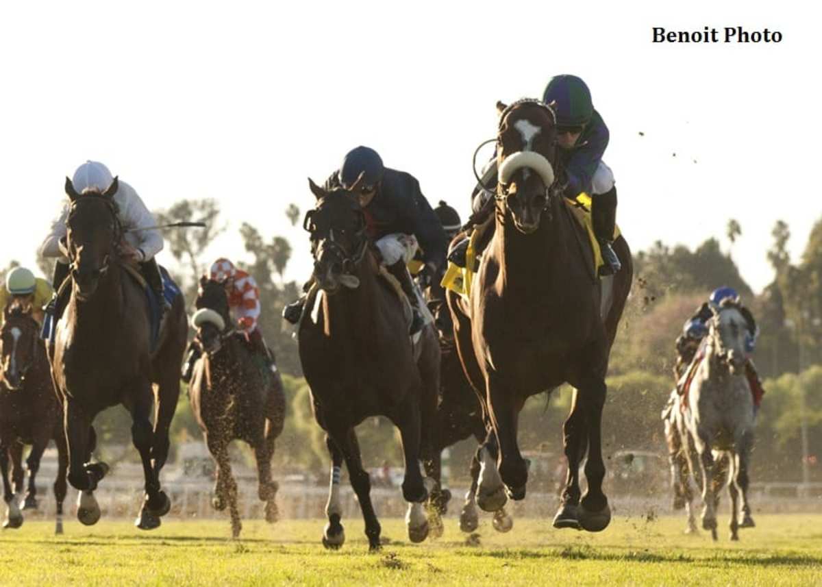 Big Bane Theory Scores Big Win in City of Hope Mile - Paulick Report ...