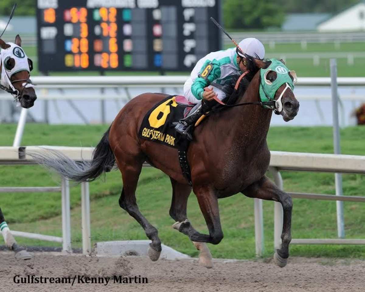 Csaba Cruises in Gulfstream's Skip Trial - Paulick Report | Latest news ...