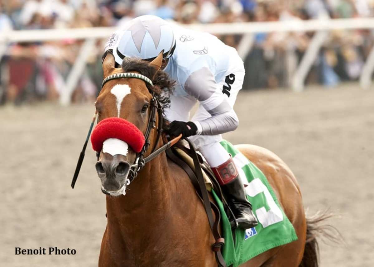 Goldencents Shines in Pat O'Brien - Paulick Report | Latest news and ...