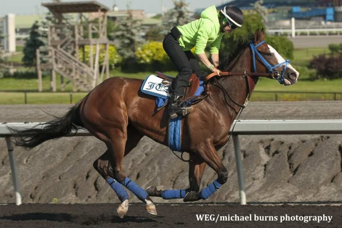 Queen's Plate a Family Affair for Attards - Paulick Report | Latest ...