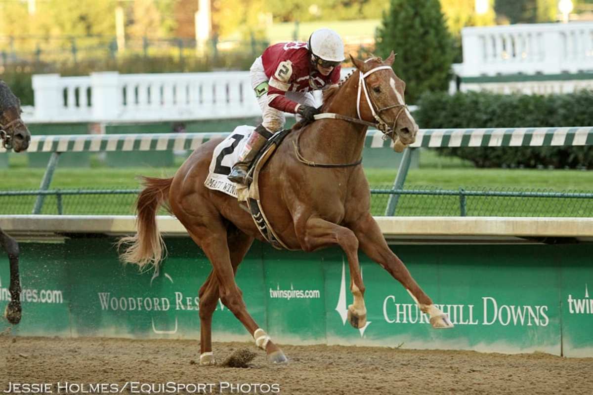 Tapiture Returns To Oaklawn In Razorback - Paulick Report | Latest news ...