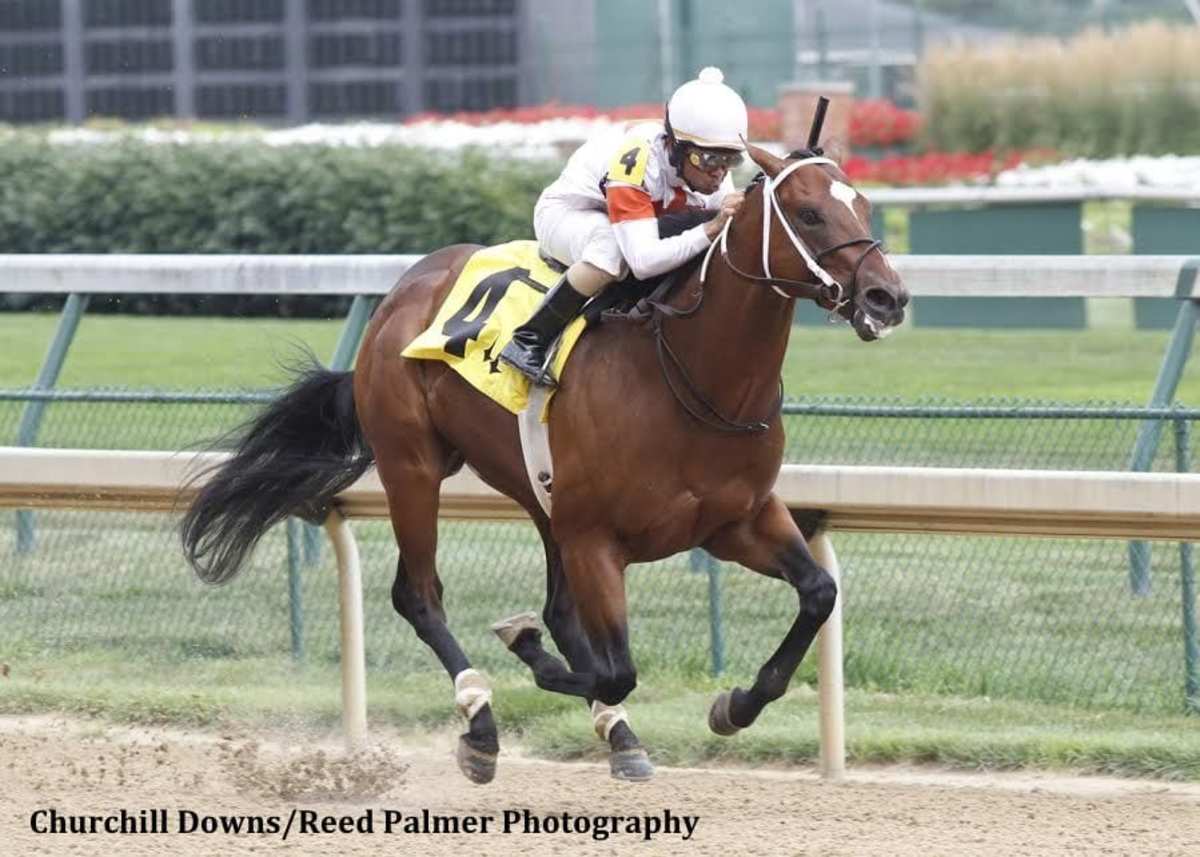 Cinco Charlie Tenacious in Bashford Manor Victory - Paulick Report ...