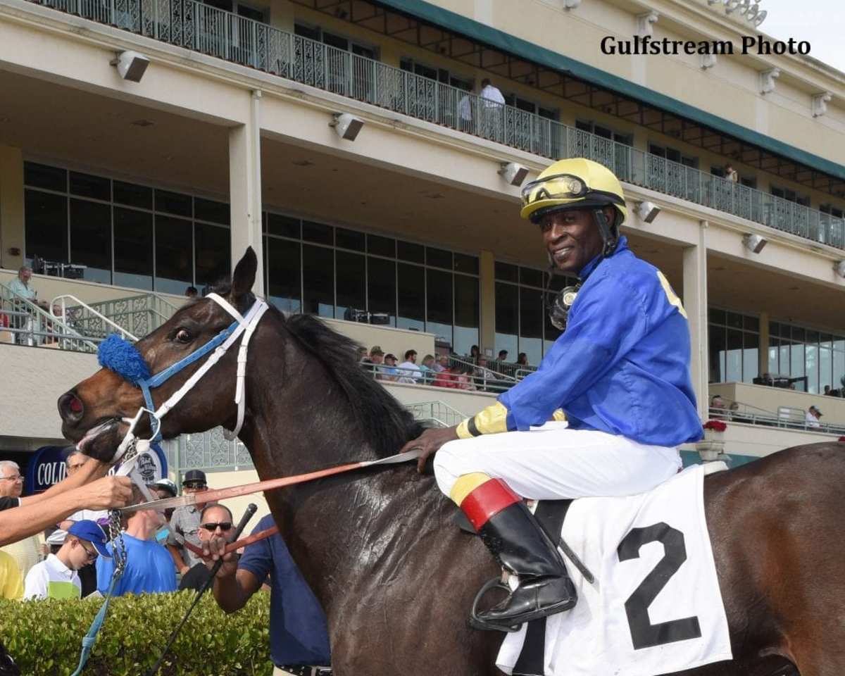 Jockey And Grandfather Of Six: Gary Bain Still In The Saddle In South ...