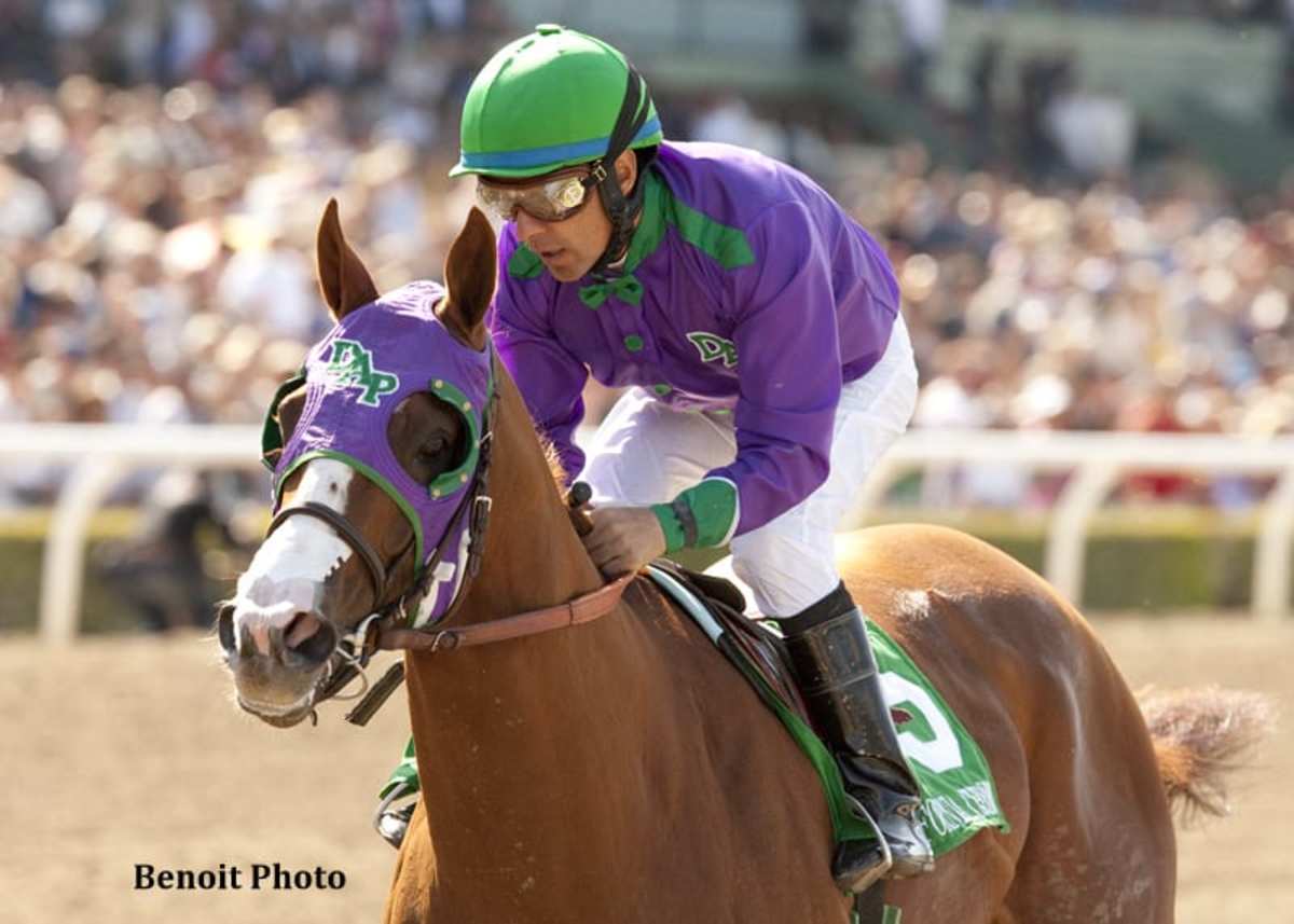 California Chrome and Swaps: It Runs in the Family - Paulick Report ...