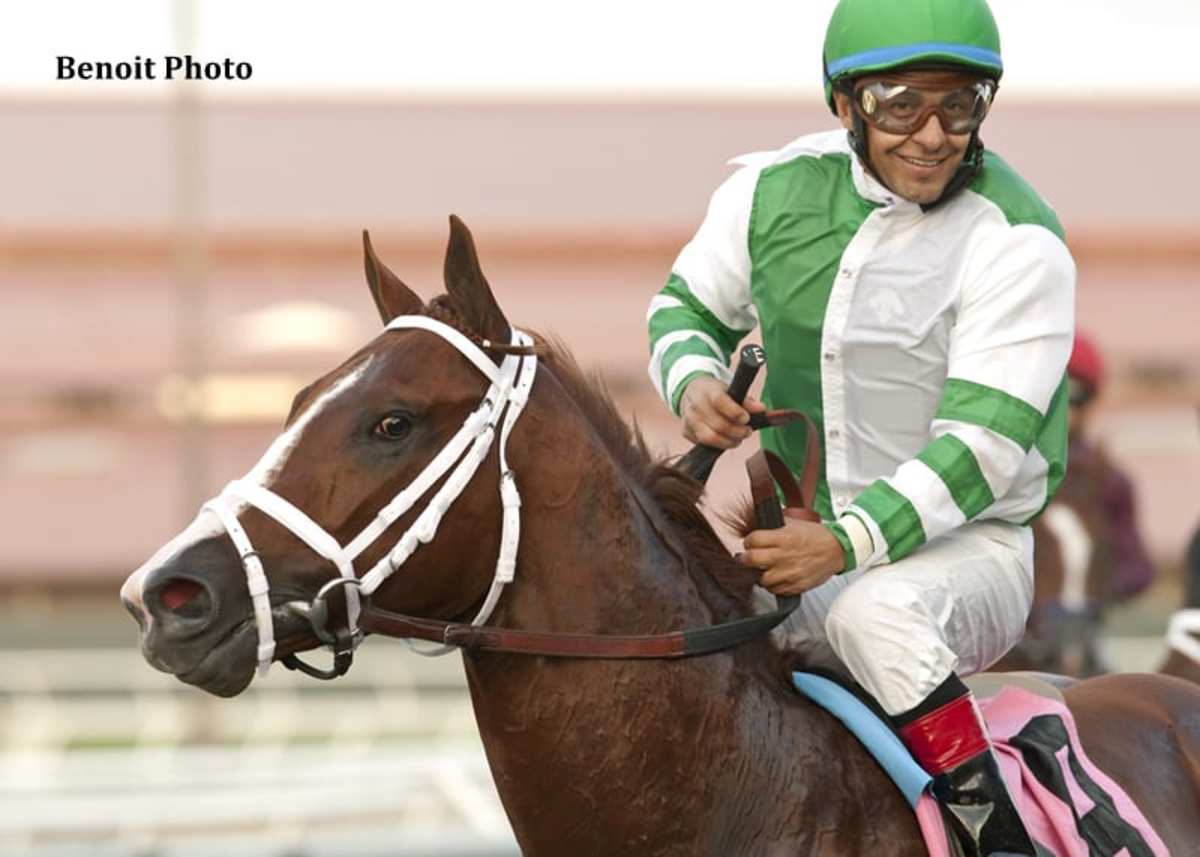 Trainer McCarthy 'Excited' Over No Problem's Bob Hope Victory - Paulick ...