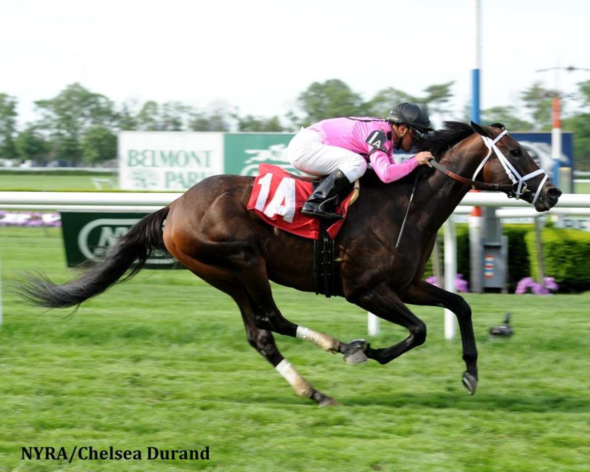 Todd Pletcher Wins Poker With Jack Milton, Passes Lukas on All-Time ...