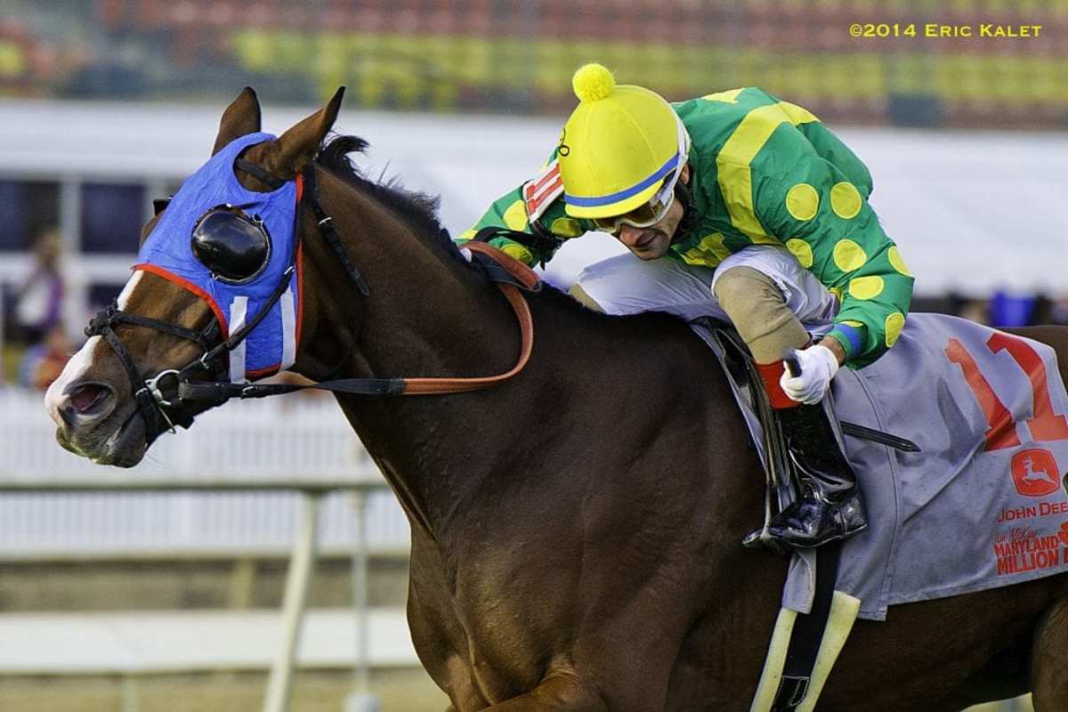 Talk Show Man Denies Ben's Cat in Maryland Million Turf - Paulick ...