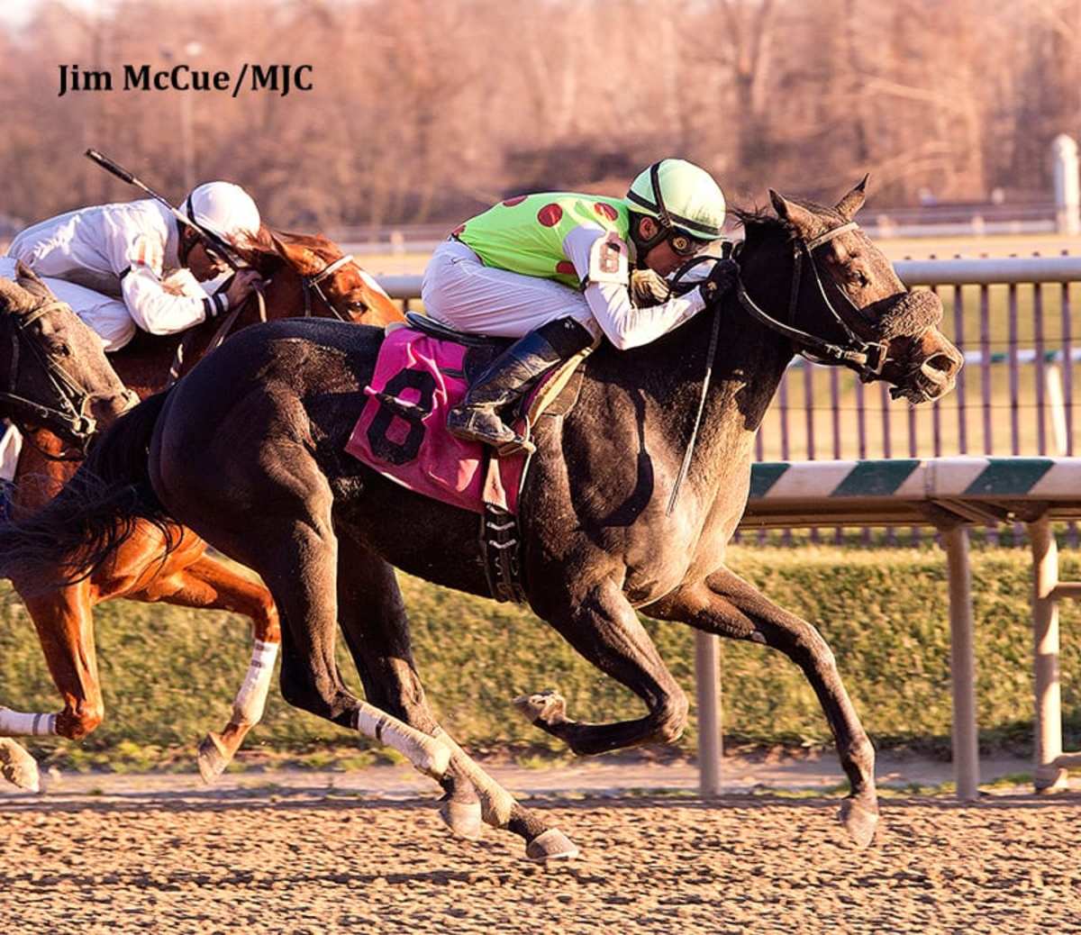 Spotted Heart Springs Upset in Maryland Juvenile Filly Championship ...