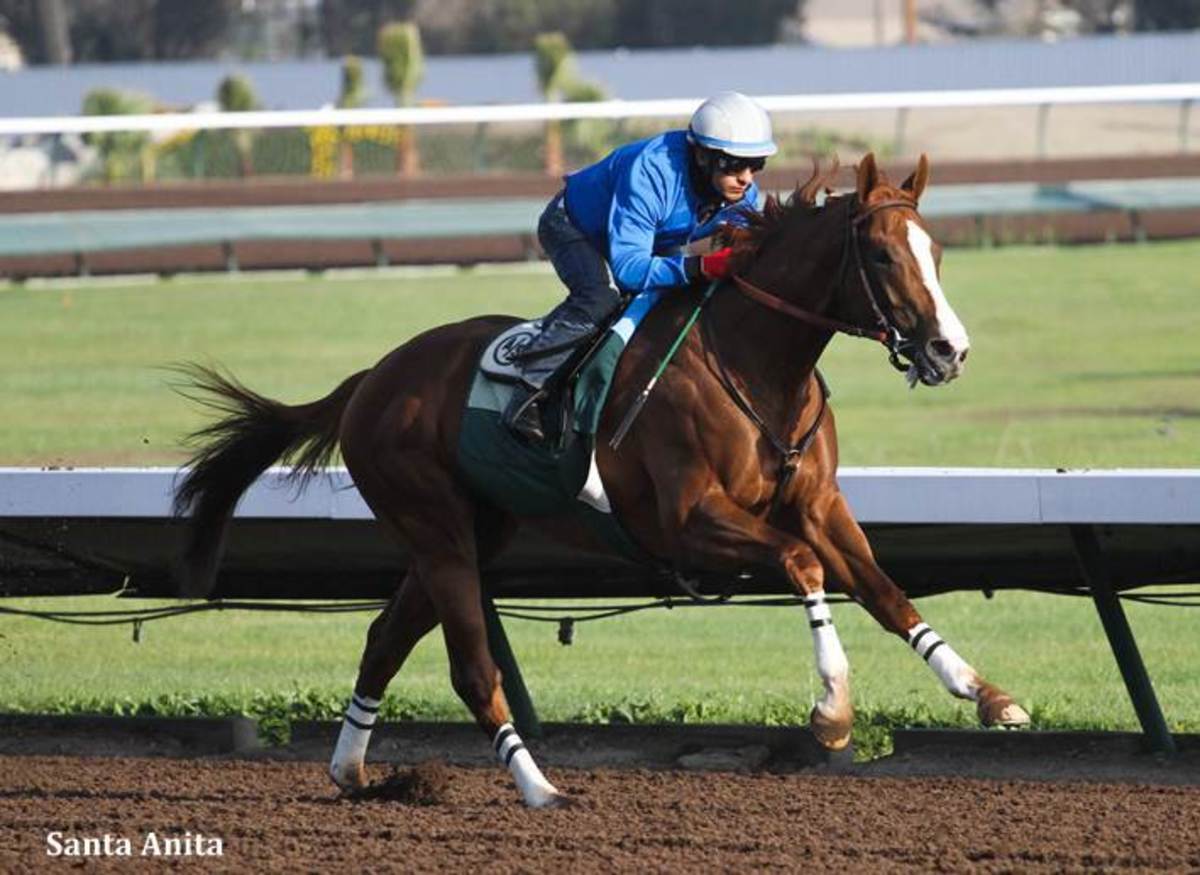 From Swaps to 'Chrome': Sherman Returns to Churchill Downs - Paulick ...