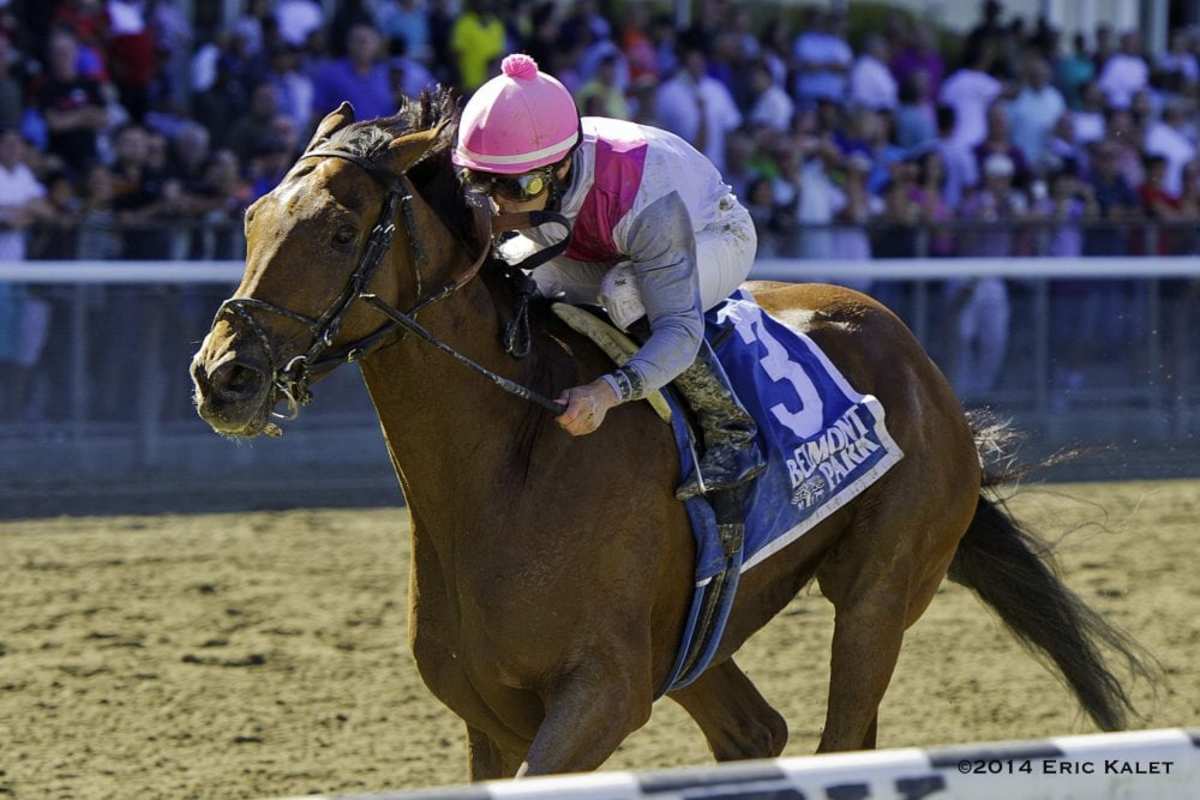 Vyjack Back to Winning Ways in Kelso - Paulick Report | Latest news and ...