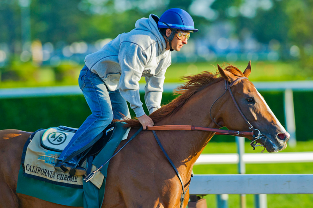 Absorbine presents Eric Kalet's Belmont Photo Blog: California Chrome ...
