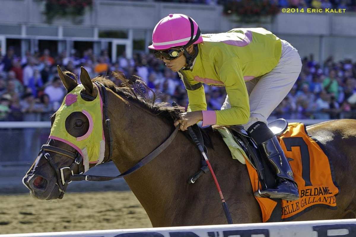 Woodbine presents Bloodlines: A Belle Reveals Her Class - Paulick ...