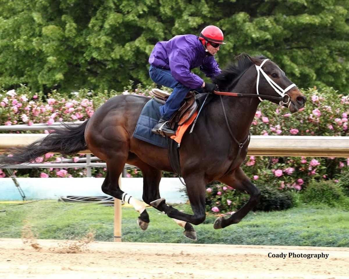Ride On Curlin Drills Seven Furlongs for Arkansas Derby - Paulick ...