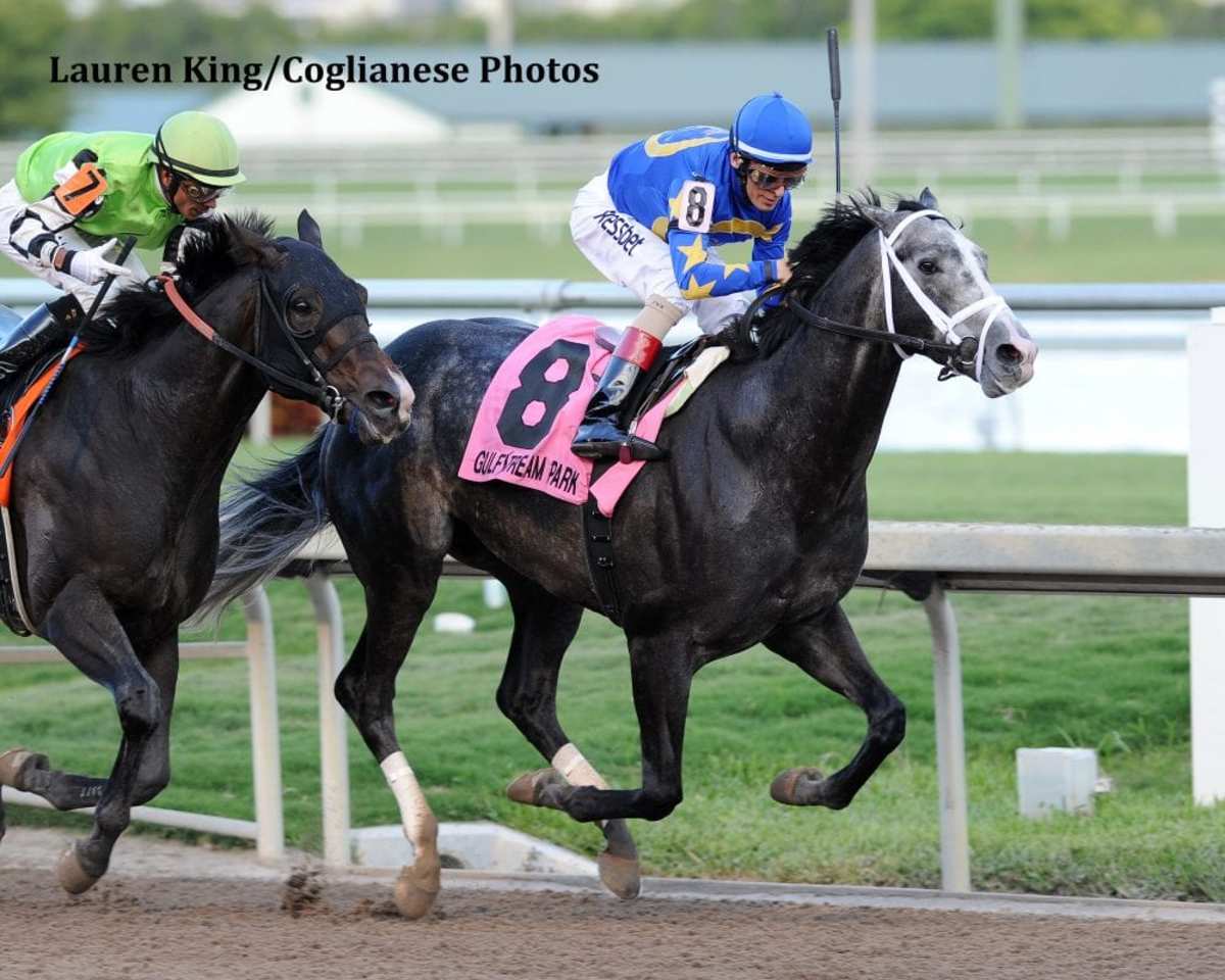 Pletcher Saddles Liam's Map, Mshawish to Gulfstream Stakes Wins ...
