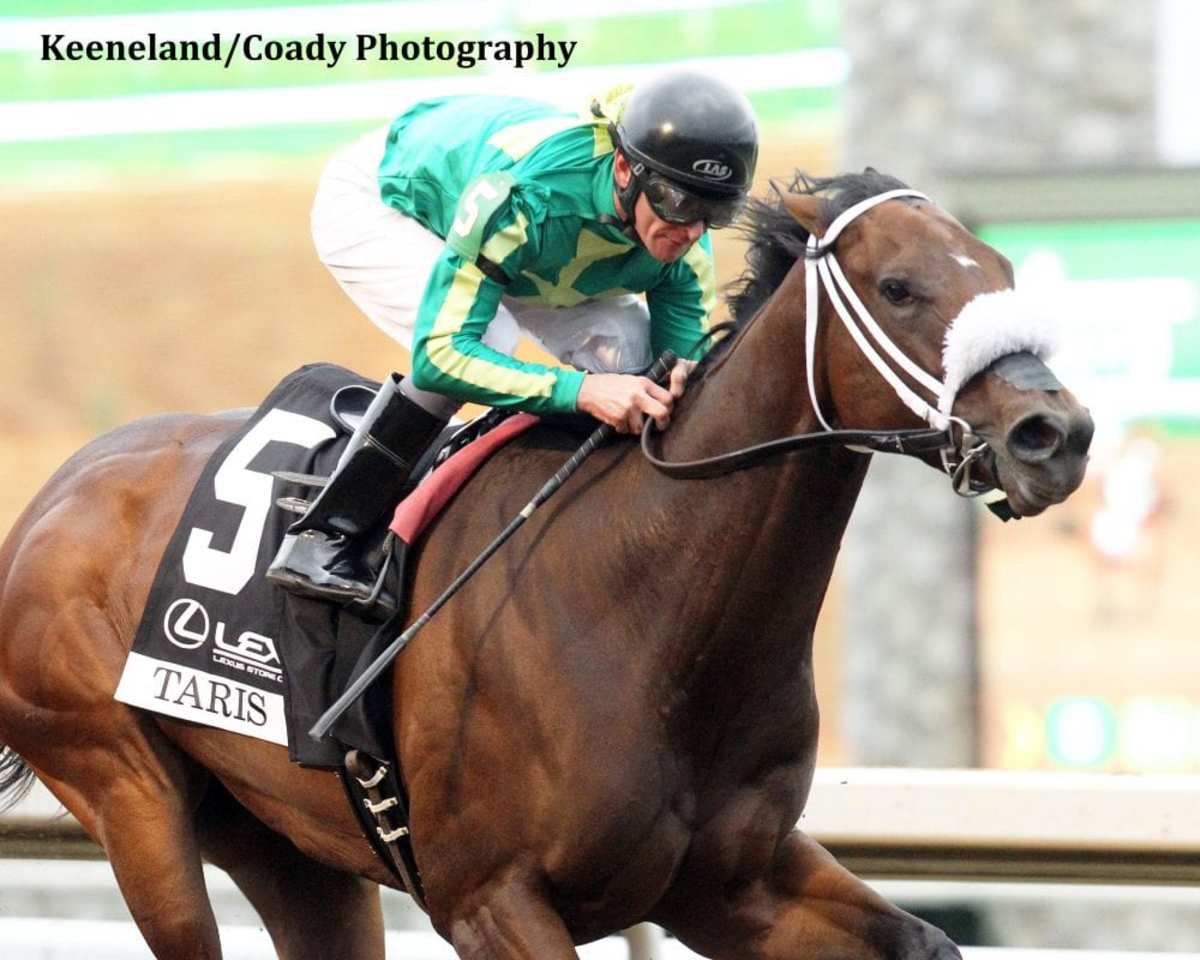 Taris Sidelined With Ankle Injury - Paulick Report | Latest news and ...