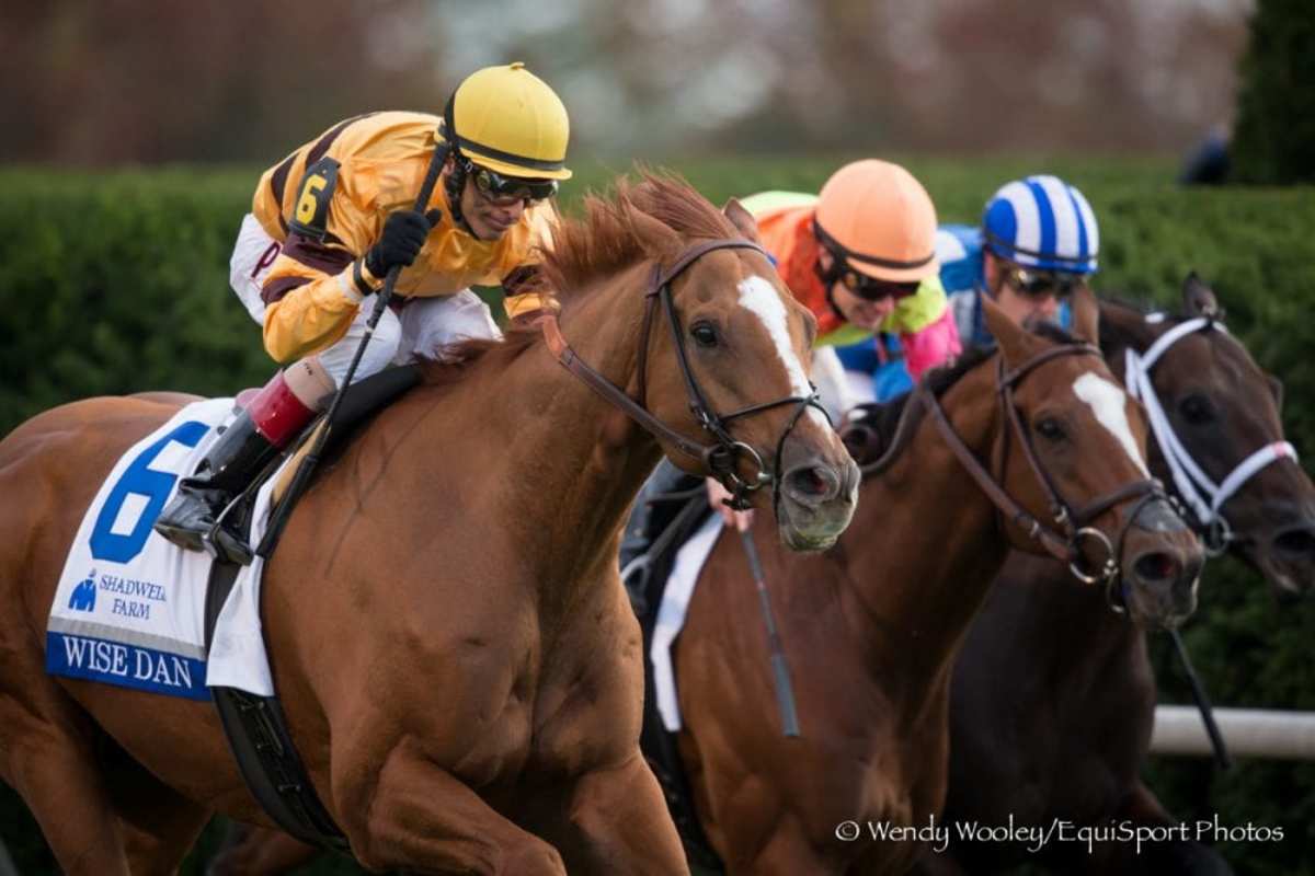 Mile: Wise Dan Triumphs in Shadwell - Paulick Report | Latest news and ...