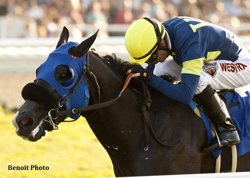 Midnight Storm Upsets Del Mar Derby - Paulick Report | Latest news and ...