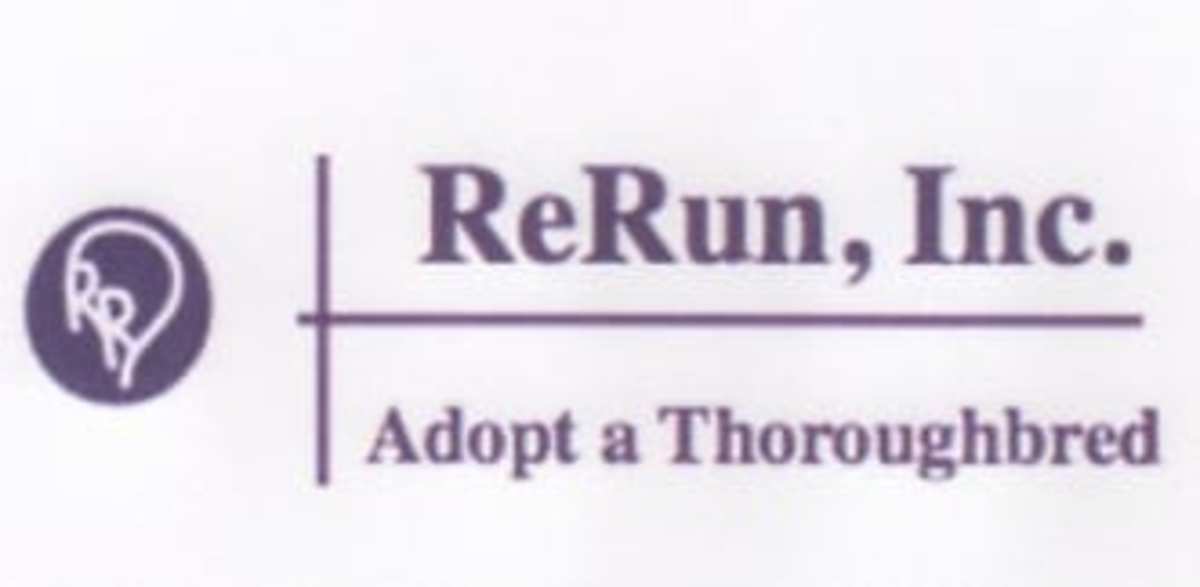 Horseplayer Pledges Wagering Winnings to Thoroughbred Charity - Paulick ...