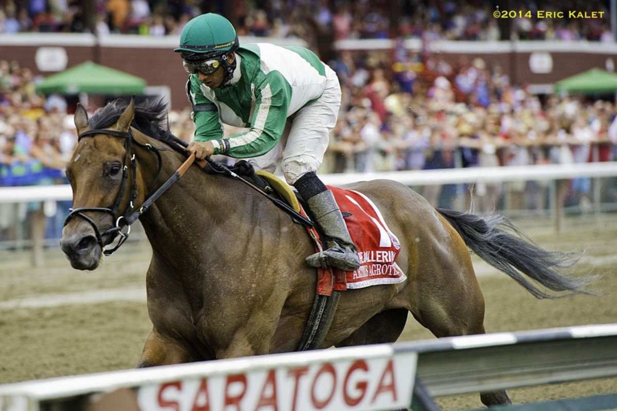 Artemis Agrotera Romps in Ballerina - Paulick Report | Latest news and ...