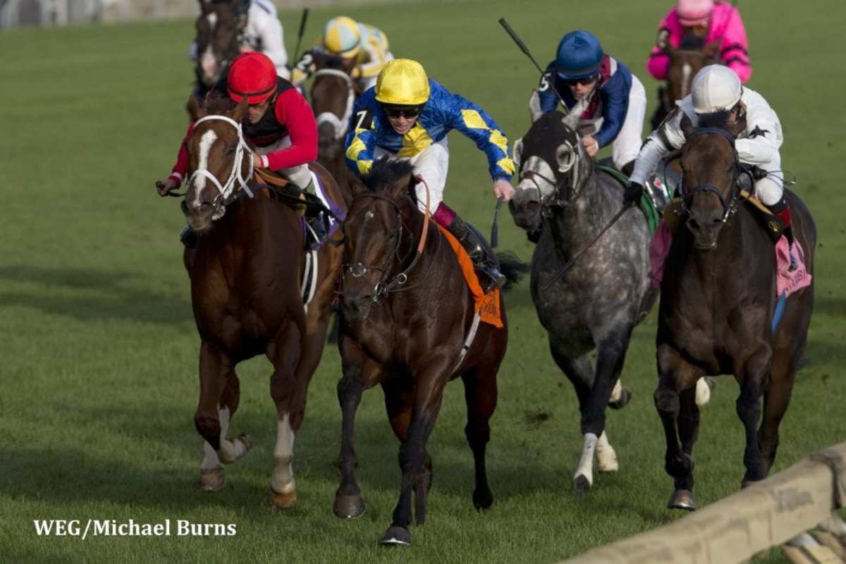 Caspar Netscher Closes to Win Nearctic - Paulick Report | Latest news ...