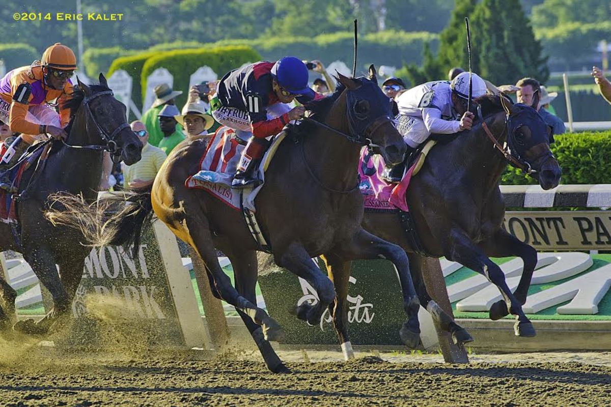 Tonalist Takes the Belmont; California Chrome Dead-Heats for Fourth ...