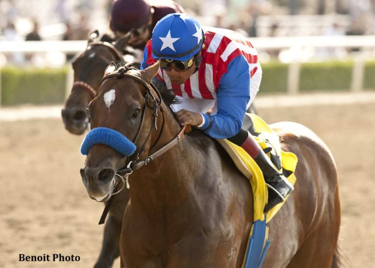Can the Man Goes Gate to Wire in Affirmed - Paulick Report | Latest ...