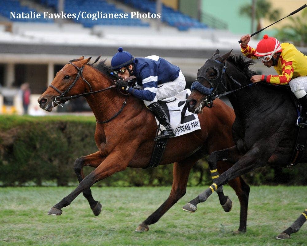 Lubash Closes Late for Tropical Turf Win - Paulick Report | Latest news ...