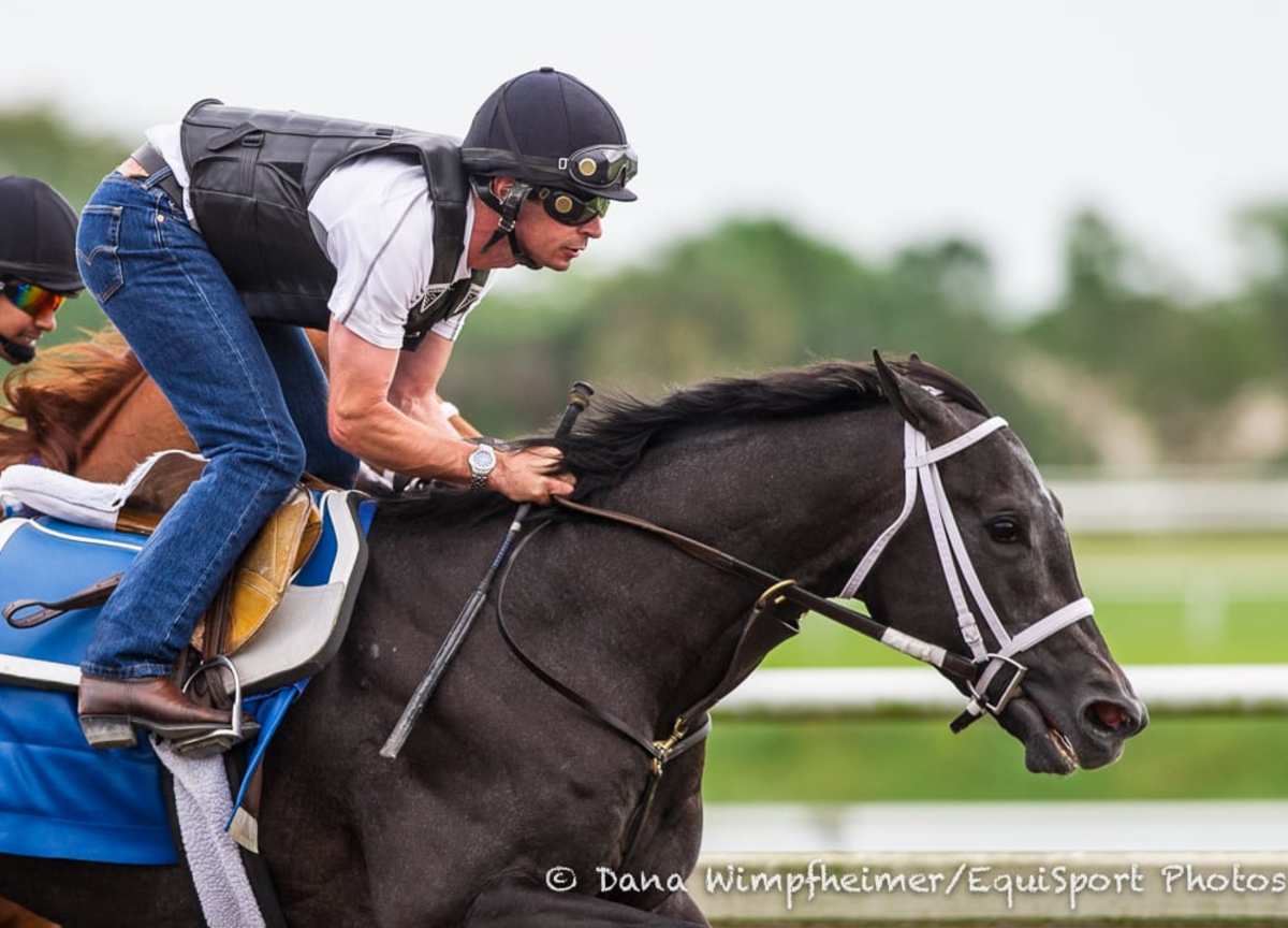 McLaughlin Relieved Cairo Prince Makes Top 20 - Paulick Report | Latest ...