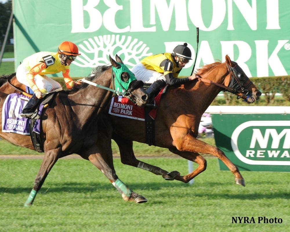 Ring Weekend Rules Hill Prince - Paulick Report | Latest news and ...