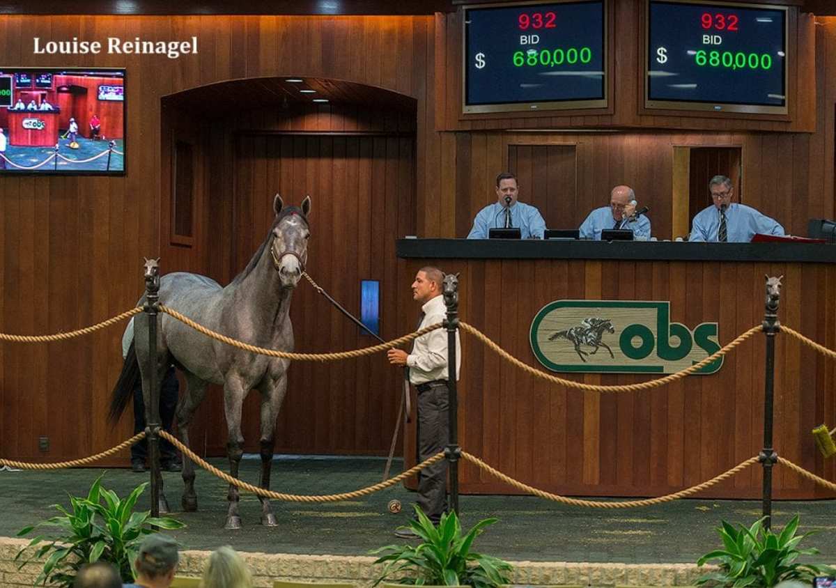 OBS June Sale Wraps Up With Record-Priced Candy Ride Colt - Paulick ...