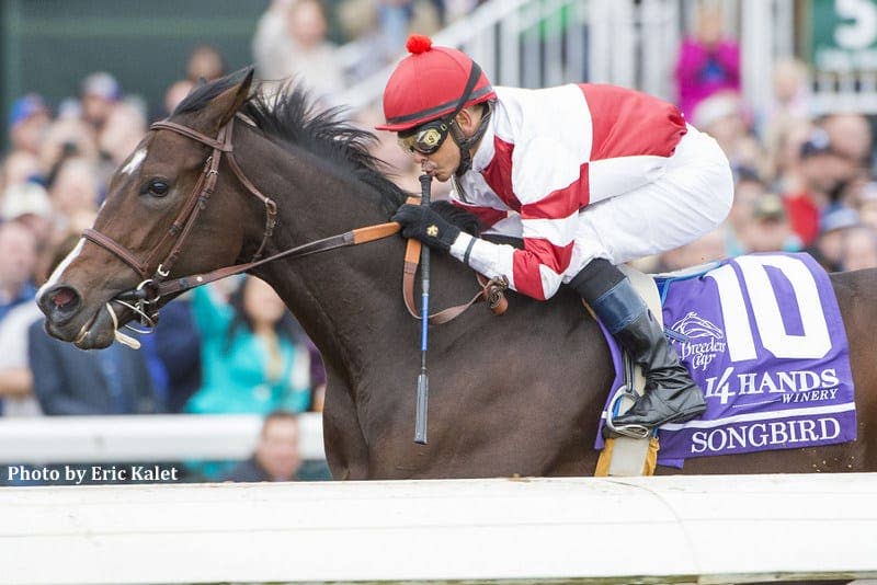 Songbird Takes Flight In Breeders' Cup Juvenile Fillies - Paulick ...