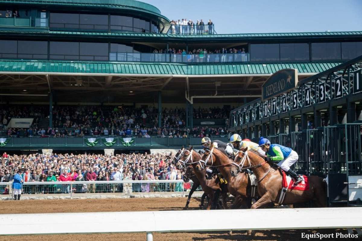 Keeneland Draws 21,056 Fans For Derby Viewing - Paulick Report | Latest ...