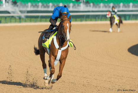 ‘He’s My Therapy’: Kentucky Derby Runner Frammento’s Decade-Long Path ...