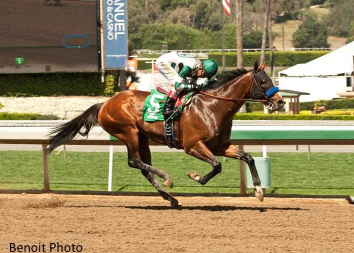 One Lucky Dane Out Of Kentucky Derby - Paulick Report | Latest news and ...