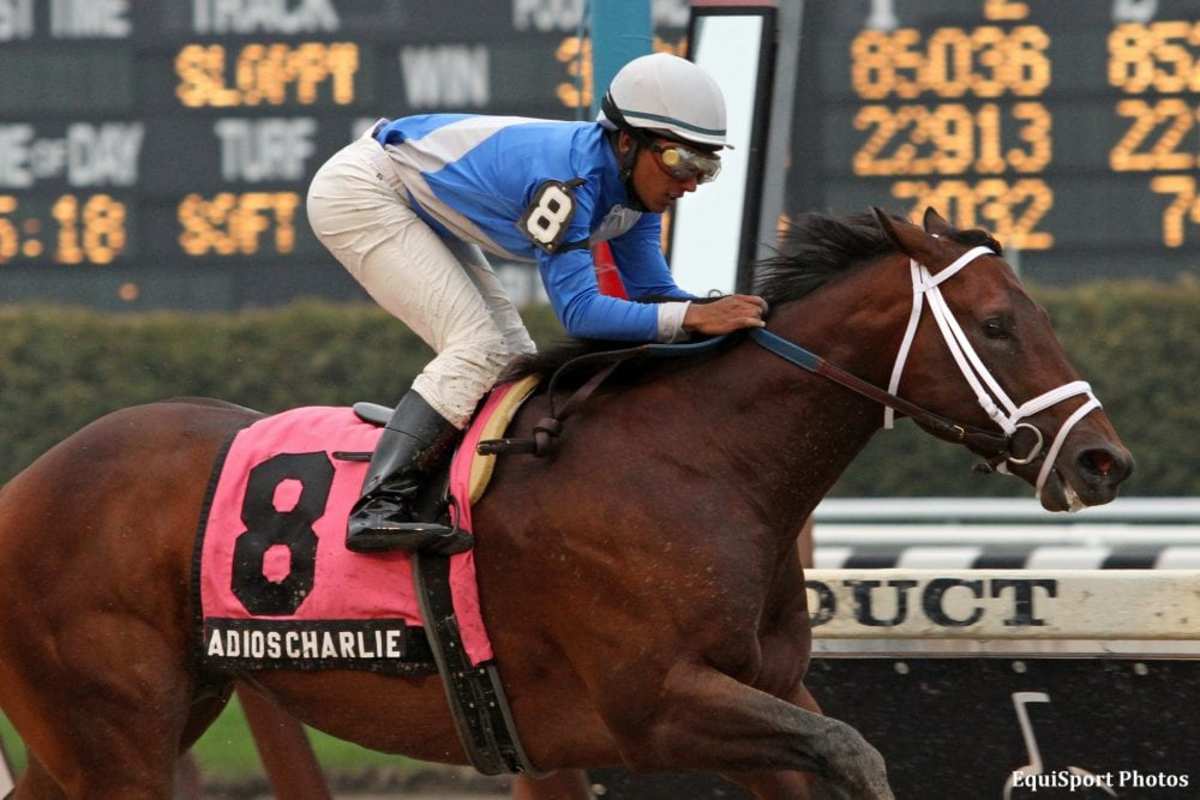 R Sweet Exchange First Winner For Adios Charlie - Paulick Report ...