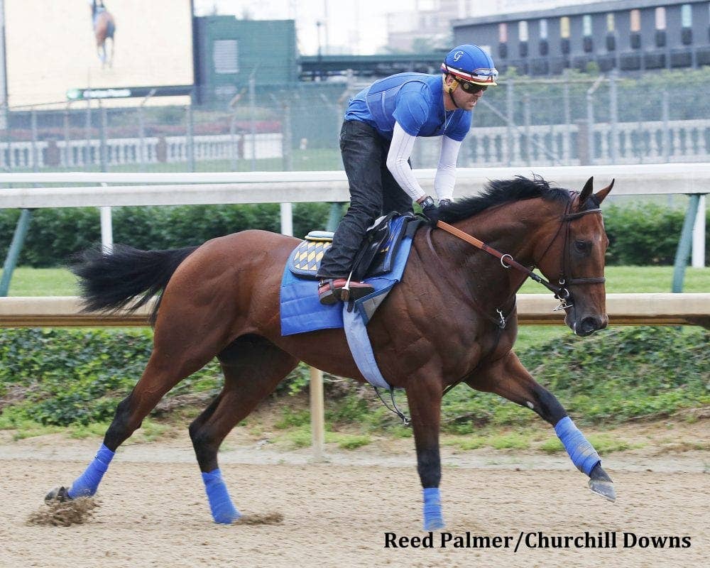 American Pharoah Set For Final Pre-Belmont Work - Paulick Report ...