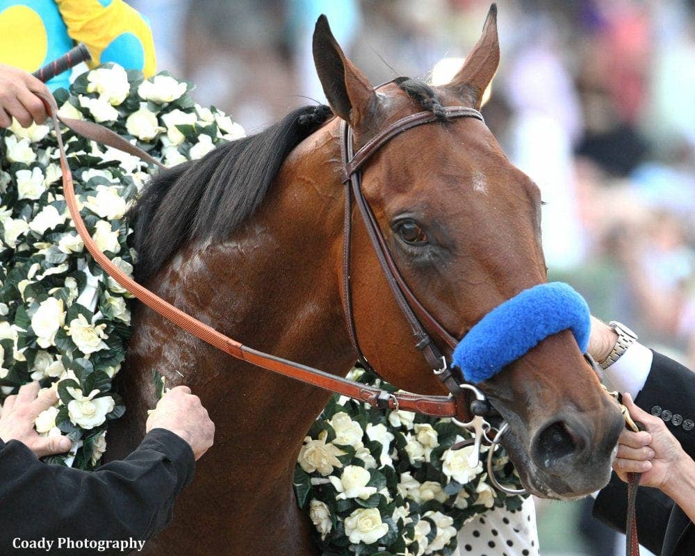 Louisville-Bound: American Pharoah To Arrive At Churchill Monday ...