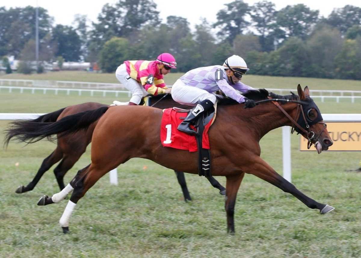 Breeders’ Cup Presents Connections: Rubley Rewarded For Following ...