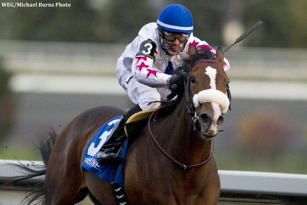 Caren Dominates In Woodbine's Princess Elizabeth Stakes - Paulick ...