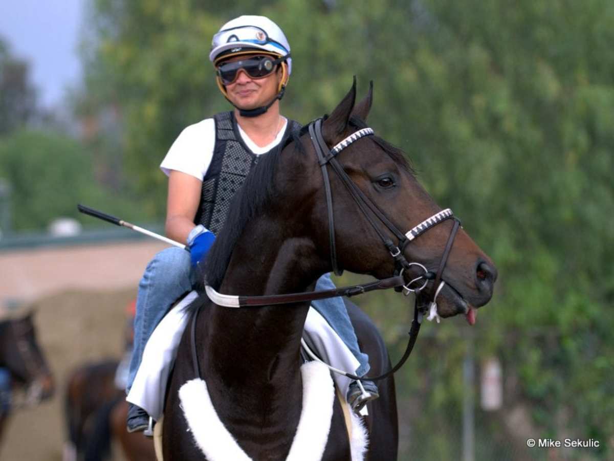 Report: Bolo Connections ‘Leaning Fairly Strongly’ Towards Derby Run ...