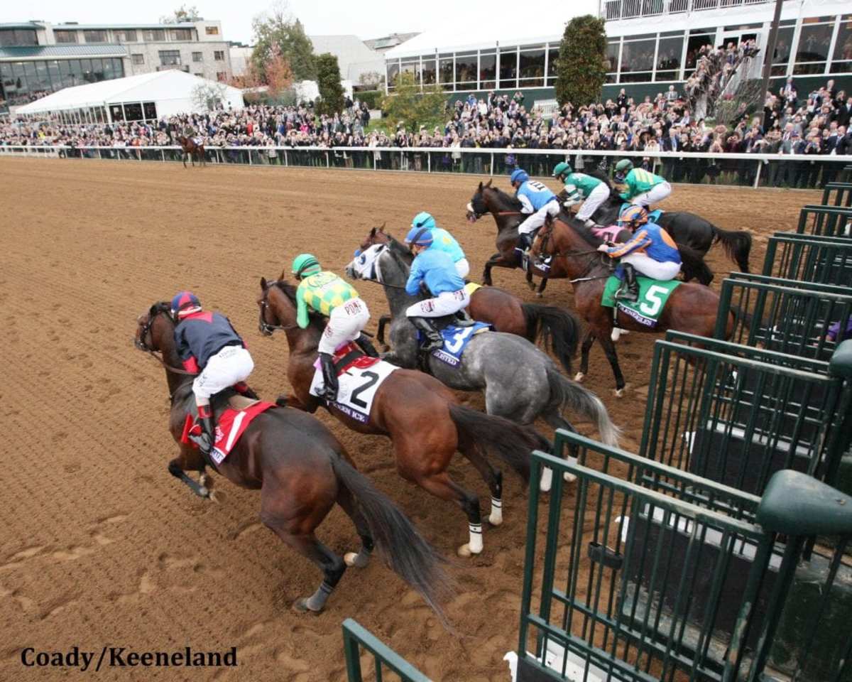 Breeders' Cup Presents The News Minute: Post Position Post-Mortem ...