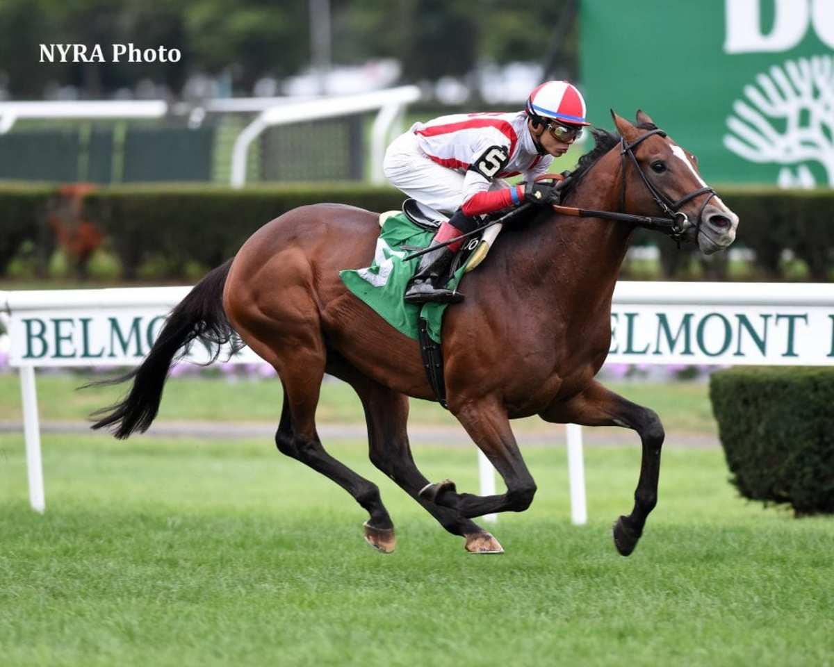 Takeover Target Rockets To Hill Prince Score - Paulick Report | Latest ...