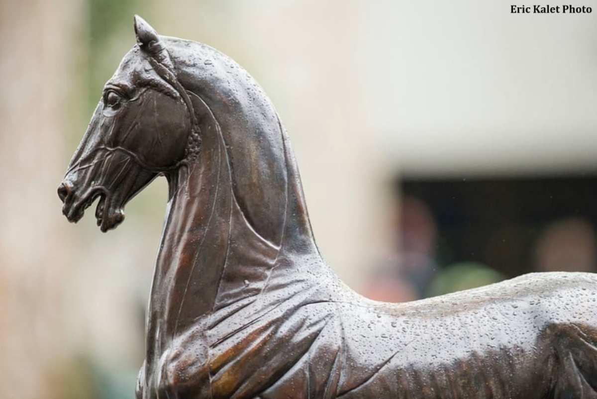 New Trophy To Be Awarded To Breeders Of Breeders' Cup Winners - Paulick ...