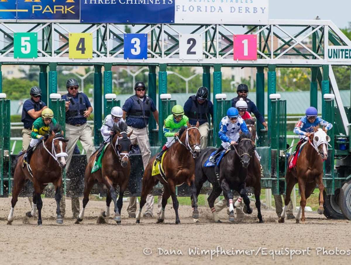 Making A Splash: Mulhall's First Starter A Winner At Gulfstream ...